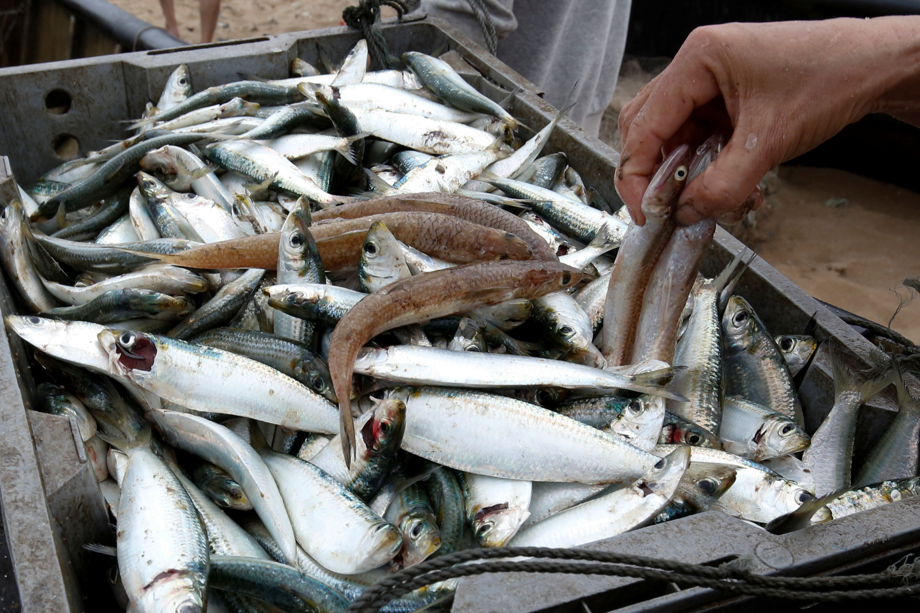 Climate Journalism in Vietnam's Censored Landscape | Al Jazeera Media ...